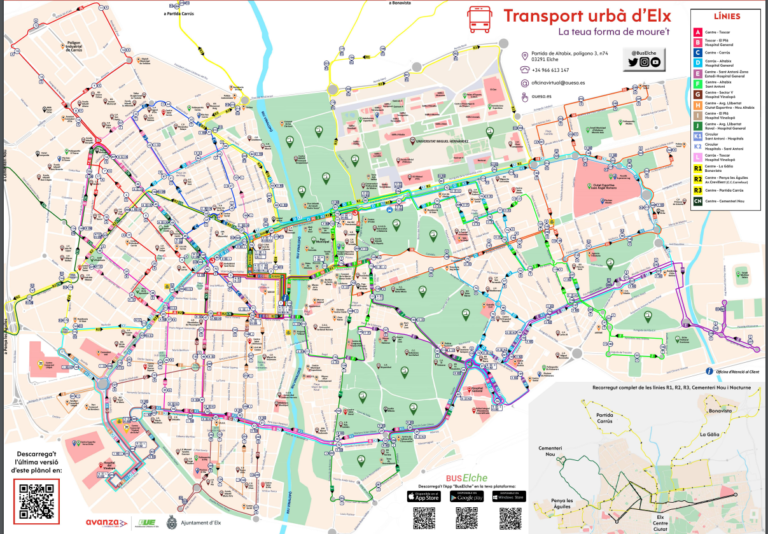 Elche, Spain: A Complete Guide | Explore Costa Blanca