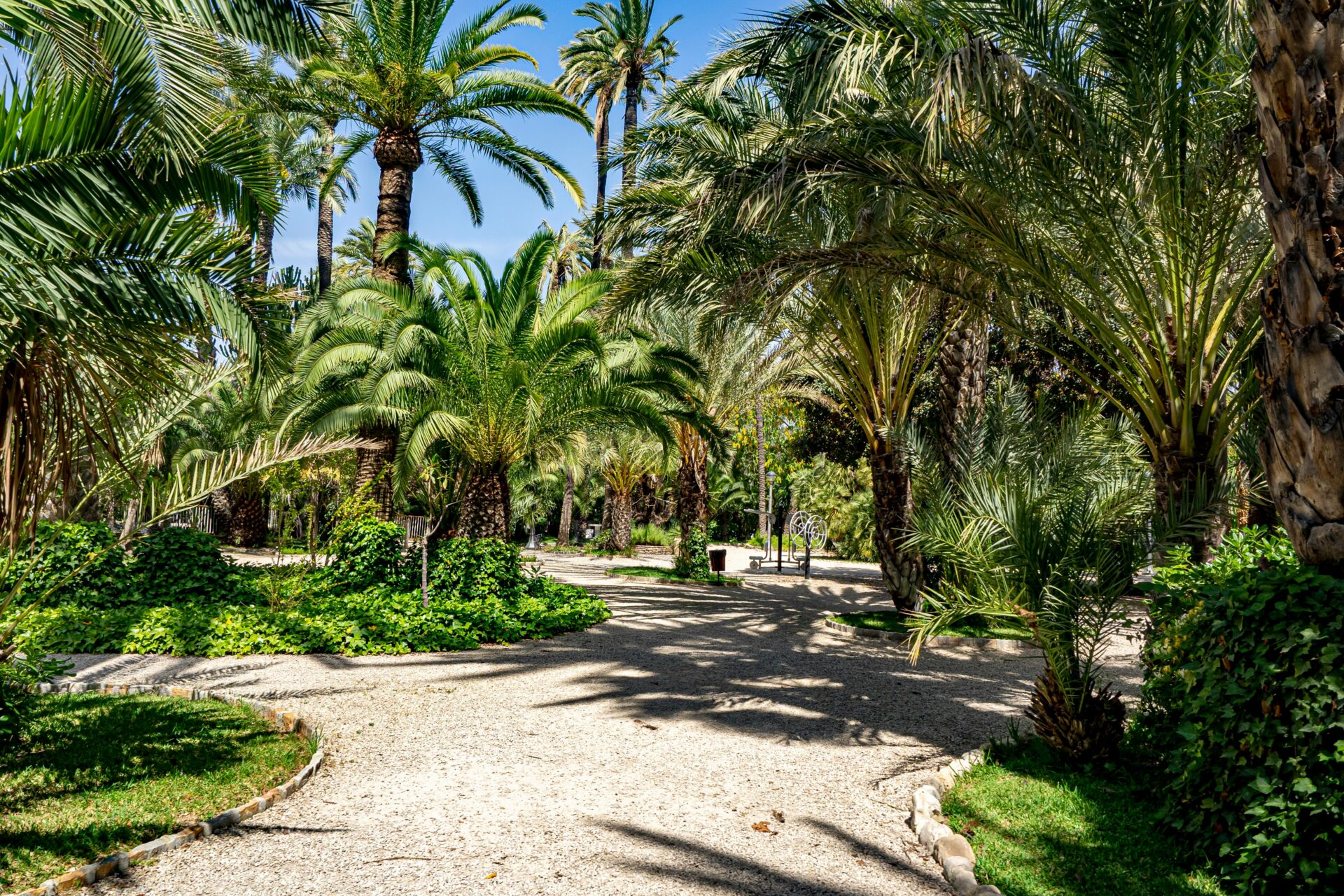 Elche, Spain: A Complete Guide | Explore Costa Blanca