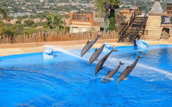 Mundomar Benidorm: Animals To See & Ticket Costs | Explore Costa Blanca